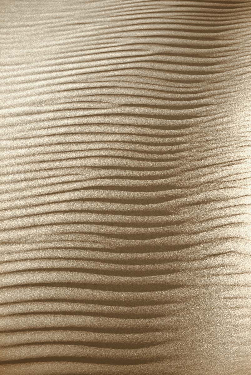 Nature's Collection : Patterns