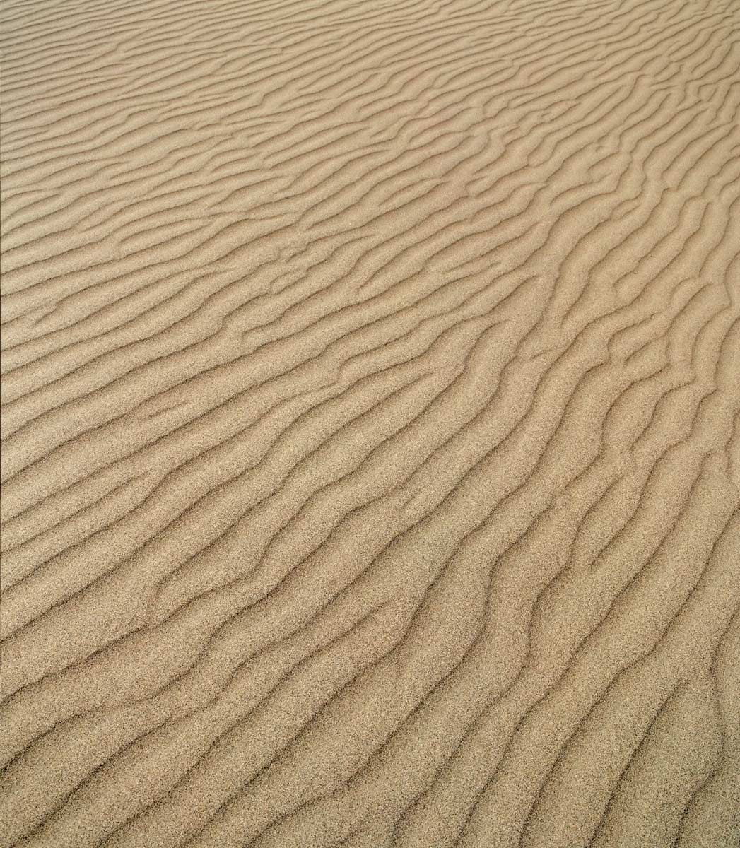 Nature's Collection : Patterns