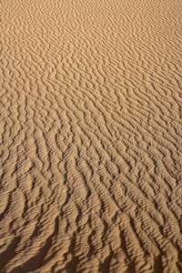 Nature's Collection : Patterns