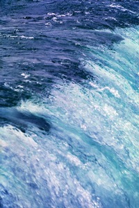 Nature's Collection : Patterns