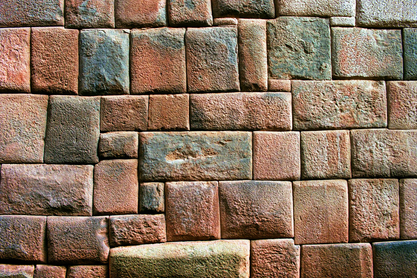 Nature's Collection : Patterns